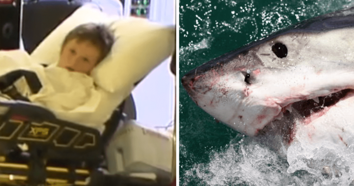 Archie Blake: Boy, 11, mauled by shark while snorkeling just meters ...