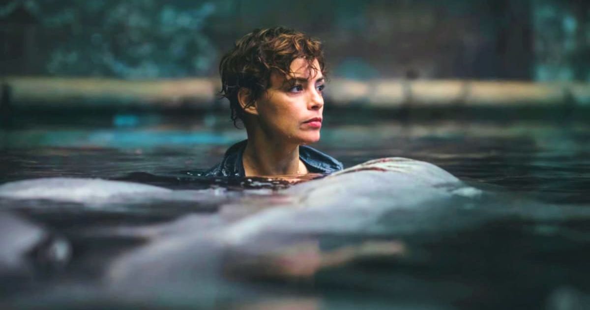 'Under Paris' (2024) air date, plot, full cast and how to stream ...
