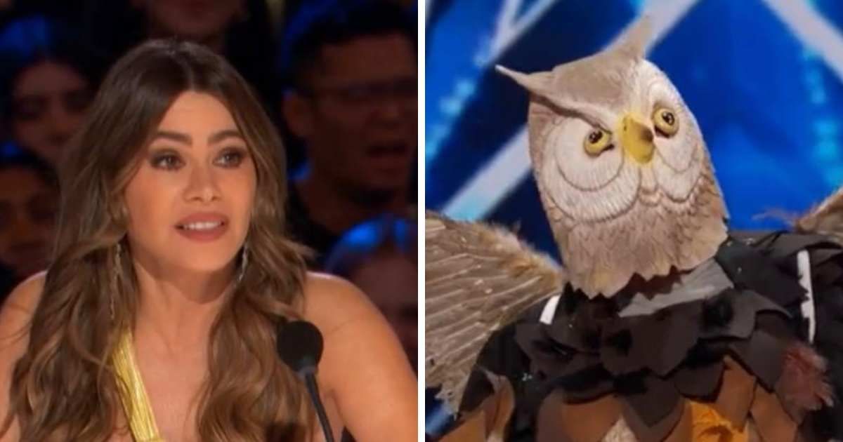 'AGT' Season 19: Watch Sofia Vergara's reaction as Owl Man belts out a ...