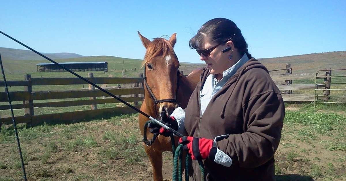 Where is Tamara Brogoitti now? ‘Chimp Crazy’ exposes captive ape's 17 ...