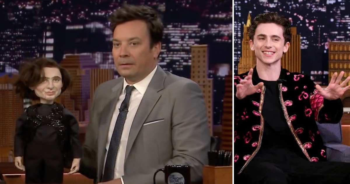 Jimmy Fallon terrorized guests with a weird Timothée Chalamet puppet ...