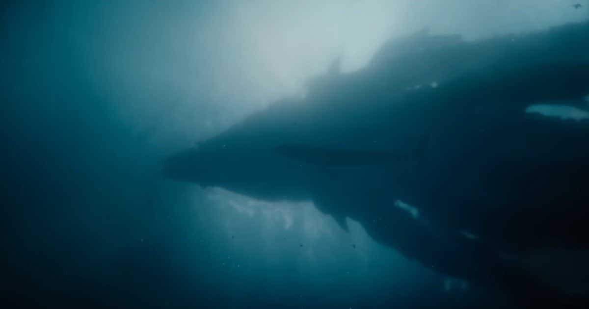 Terrifying 'Monarch: Legacy of Monsters' Season 2 trailer introduces ...